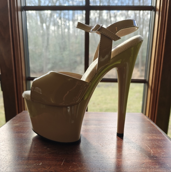 Pleaser | Shoes | Pleaser Passion79 Sz9 | Poshmark